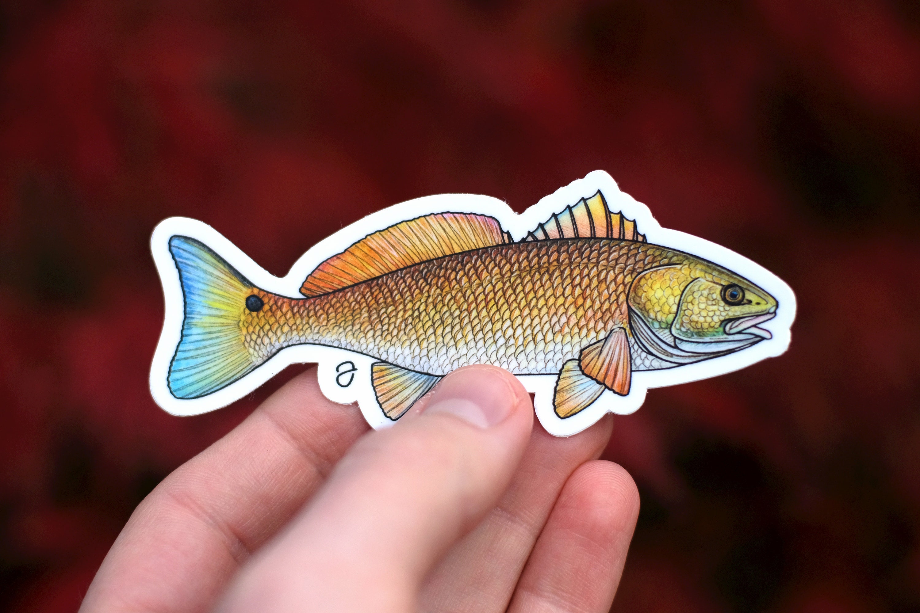 Red Drum Sticker 4 - Etsy