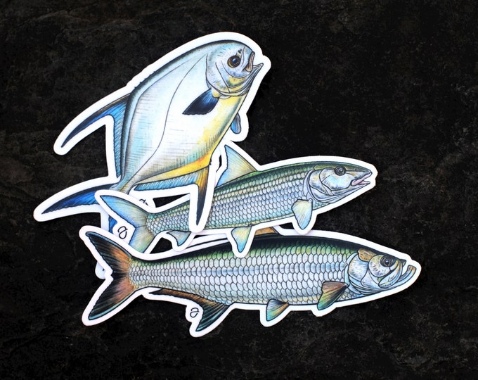 Inshore Silver Sticker Pack 3 Stickers - Etsy