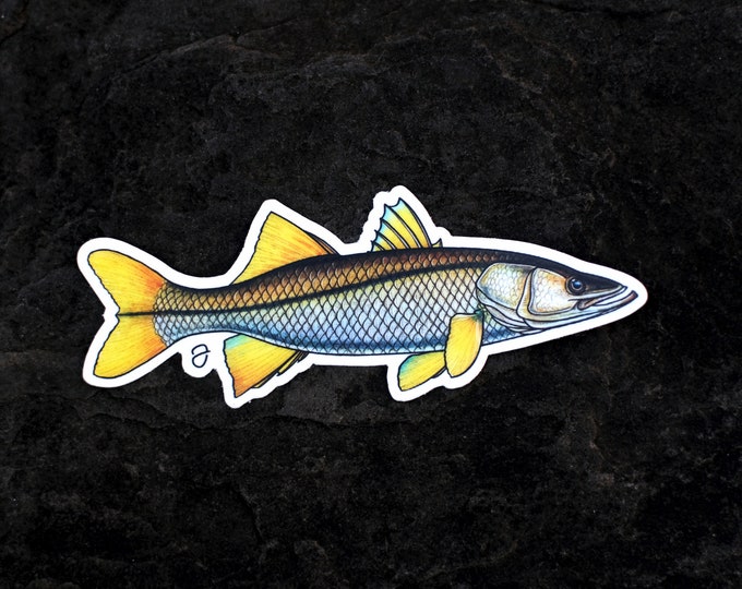 Common Snook Sticker 4 - Etsy