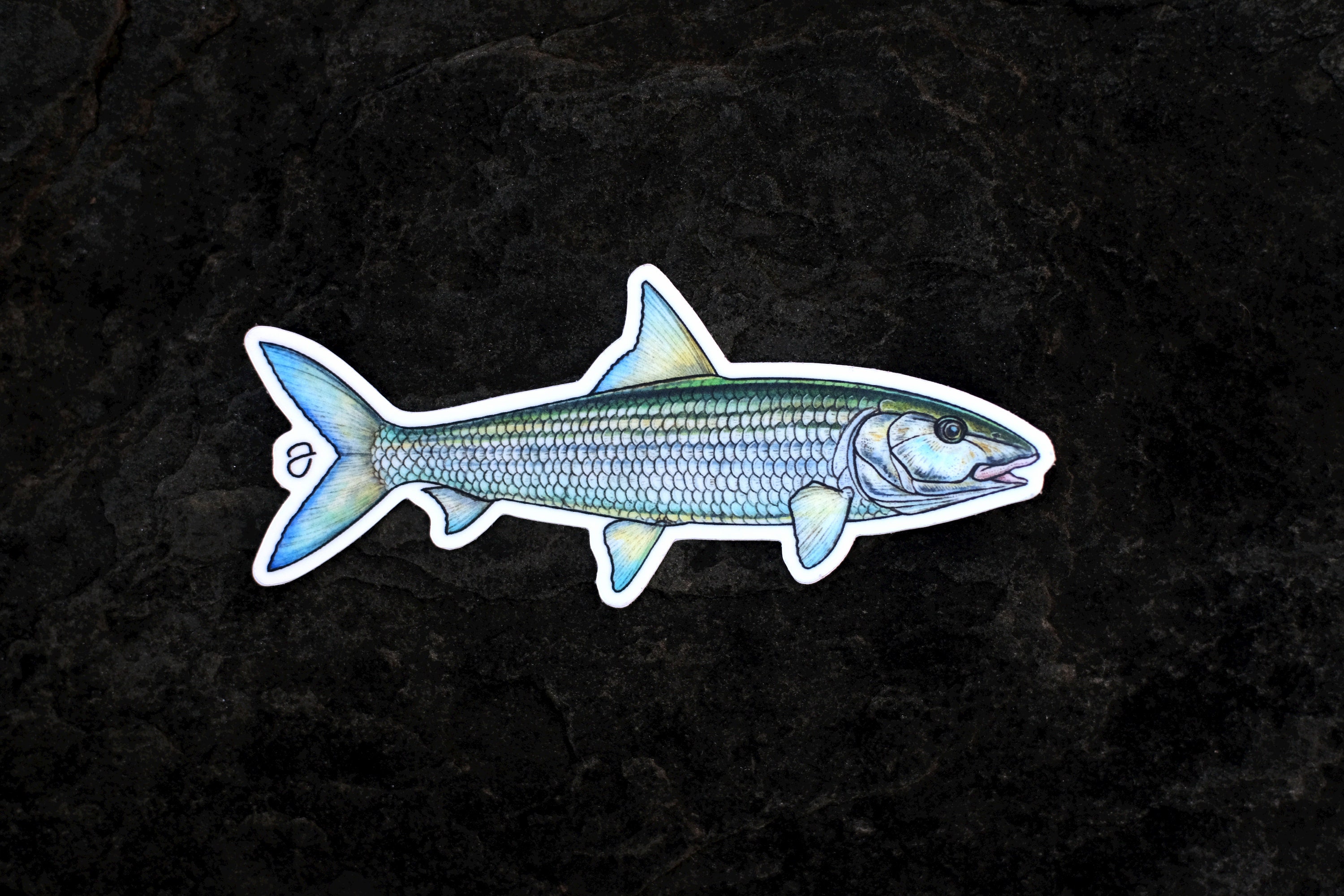 Bonefish Sticker 4 - Etsy