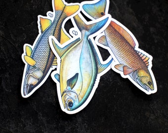 Inshore Fishing Decals - Etsy