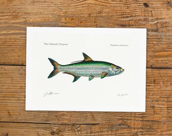 Tarpon Giclee Canvas Print - Etsy