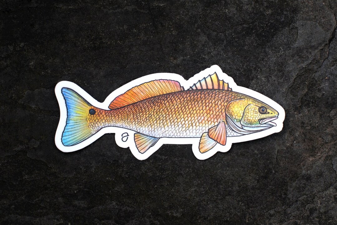 Red Drum Sticker 4 - Etsy