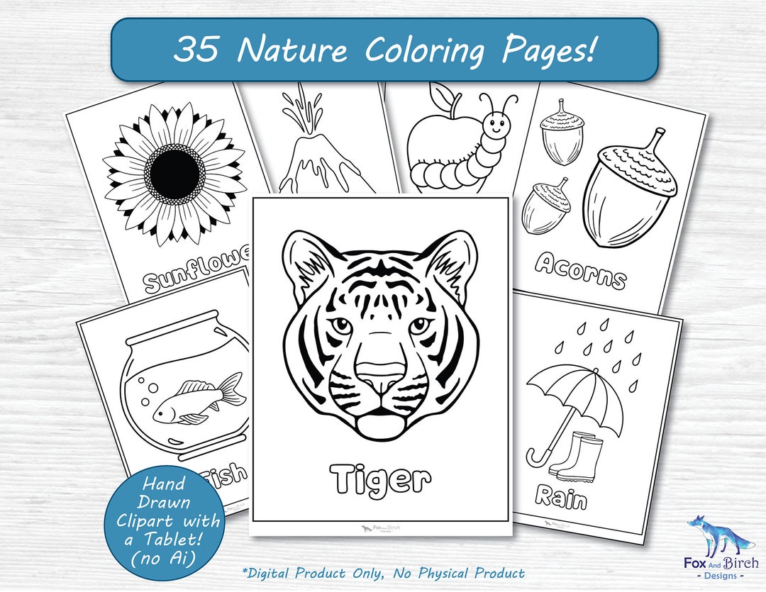 35 Printable Animal & Nature Coloring Book Pages for Kids / Preschool ...