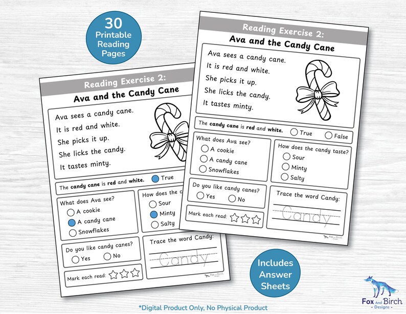 Christmas Reading Comprehension Kindergarten Worksheet Activity ...