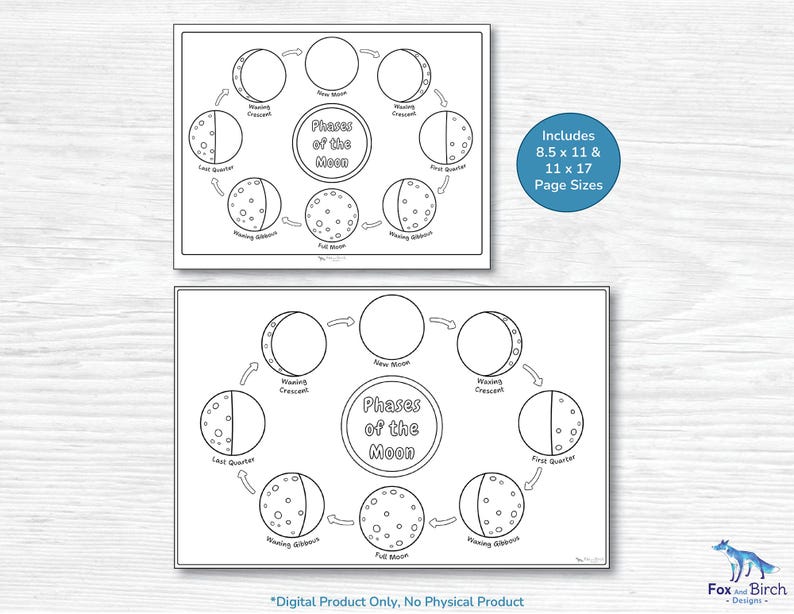 Phases of the Moon Coloring Page Printable / Lunar Cycle Educational ...