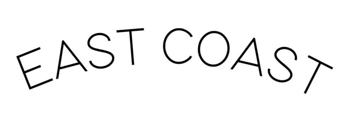 East Coast Shirt Graphic Tee East Coast Apparel New York | Etsy