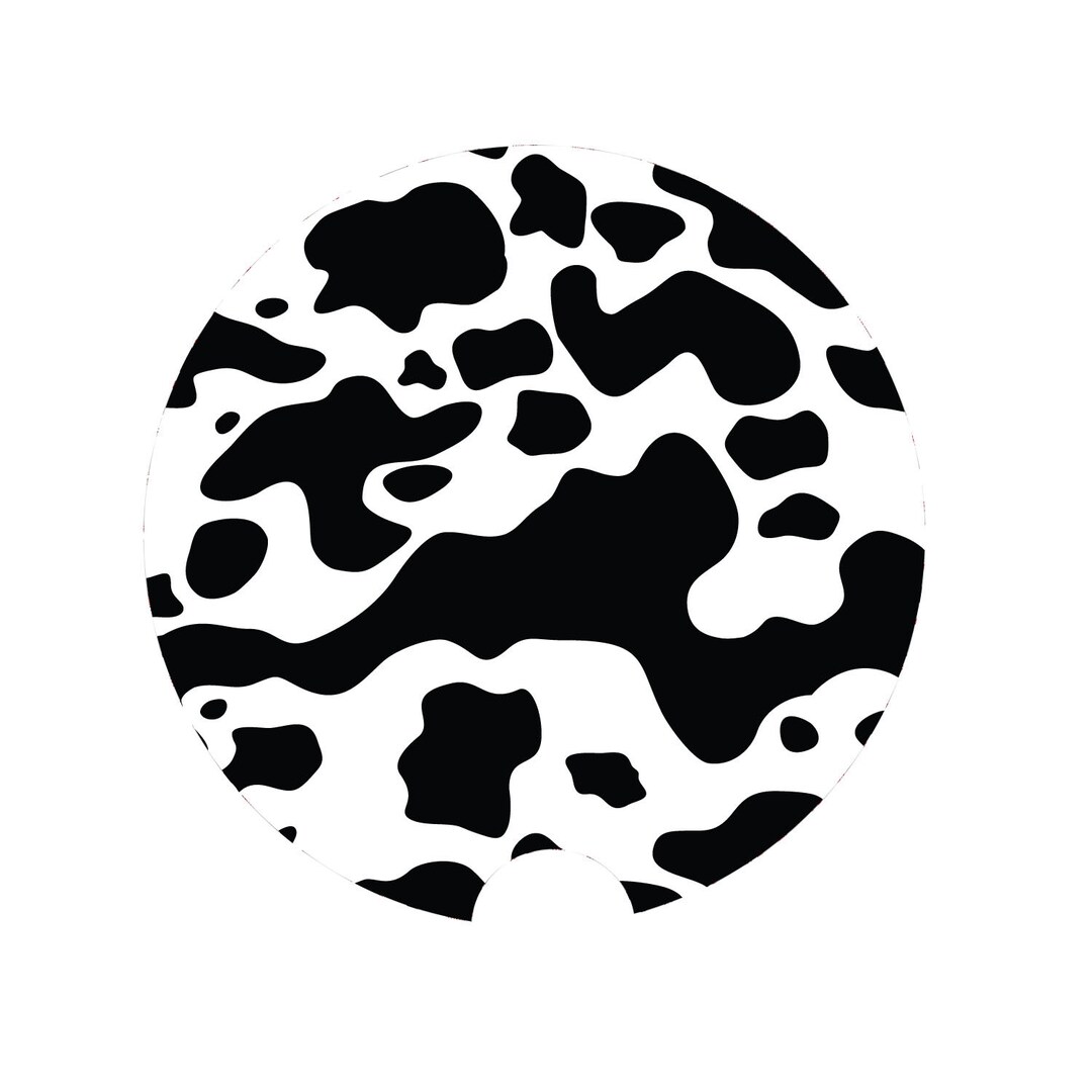 Cow Car Coaster, Cow Print, Holstein Cow, Farm Coaster, Cow Print ...