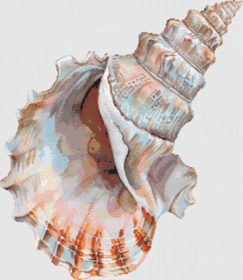 Pretty Shell Cross Stitch Pattern PDF - Etsy