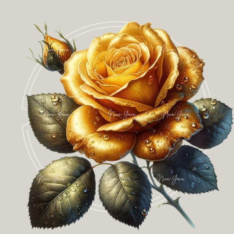 30 Golden Roses Clipart Bundle PNG, Gold Roses Watercolor, Gold Roses ...