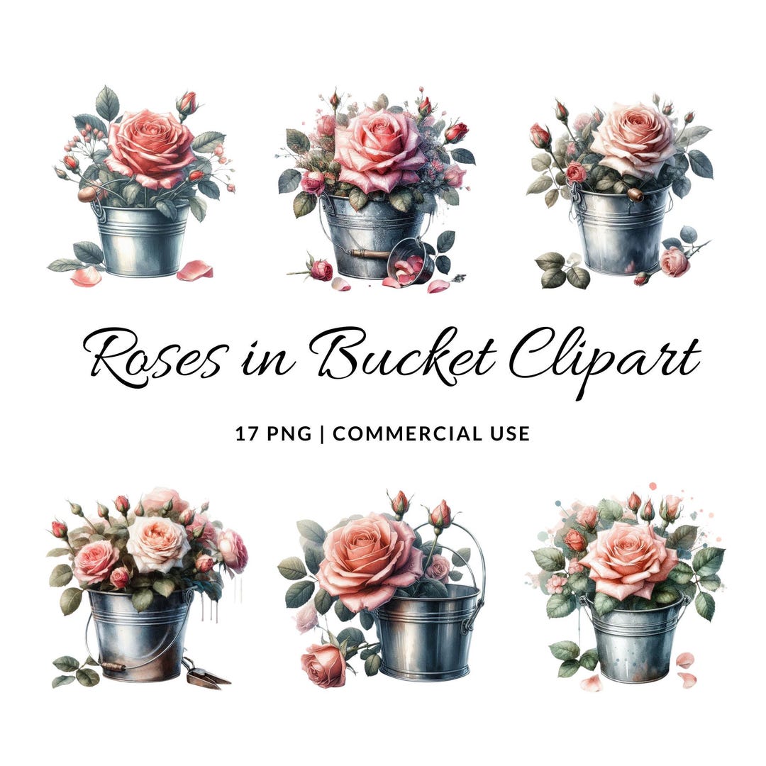 17 PNG, Rose Flowers Clipart Bundle, Roses in Bucket Bundle, Rose ...