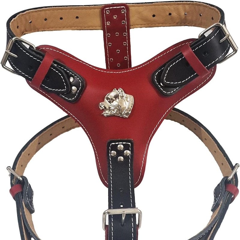 Pocket Bully Harness - Etsy