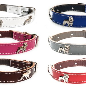 1 Inch Wide Luxury Frenchie Leather Dog Collar With Unique French ...