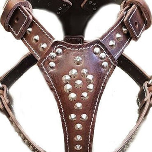 Beautiful Studded Design Black Leather Dog Harness Fits Large - Etsy UK