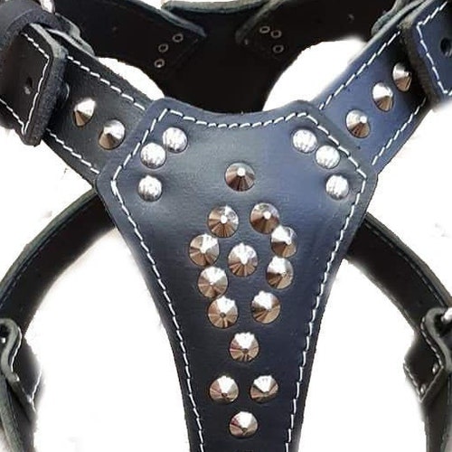 Beautiful Studded Design Black Leather Dog Harness Fits Large - Etsy UK