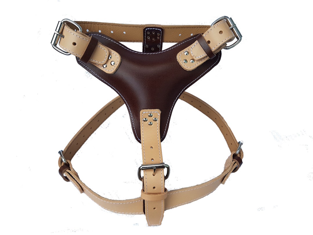Two Tone Extra Large Heavy Duty Leather Dog Harness Plain Leather ...