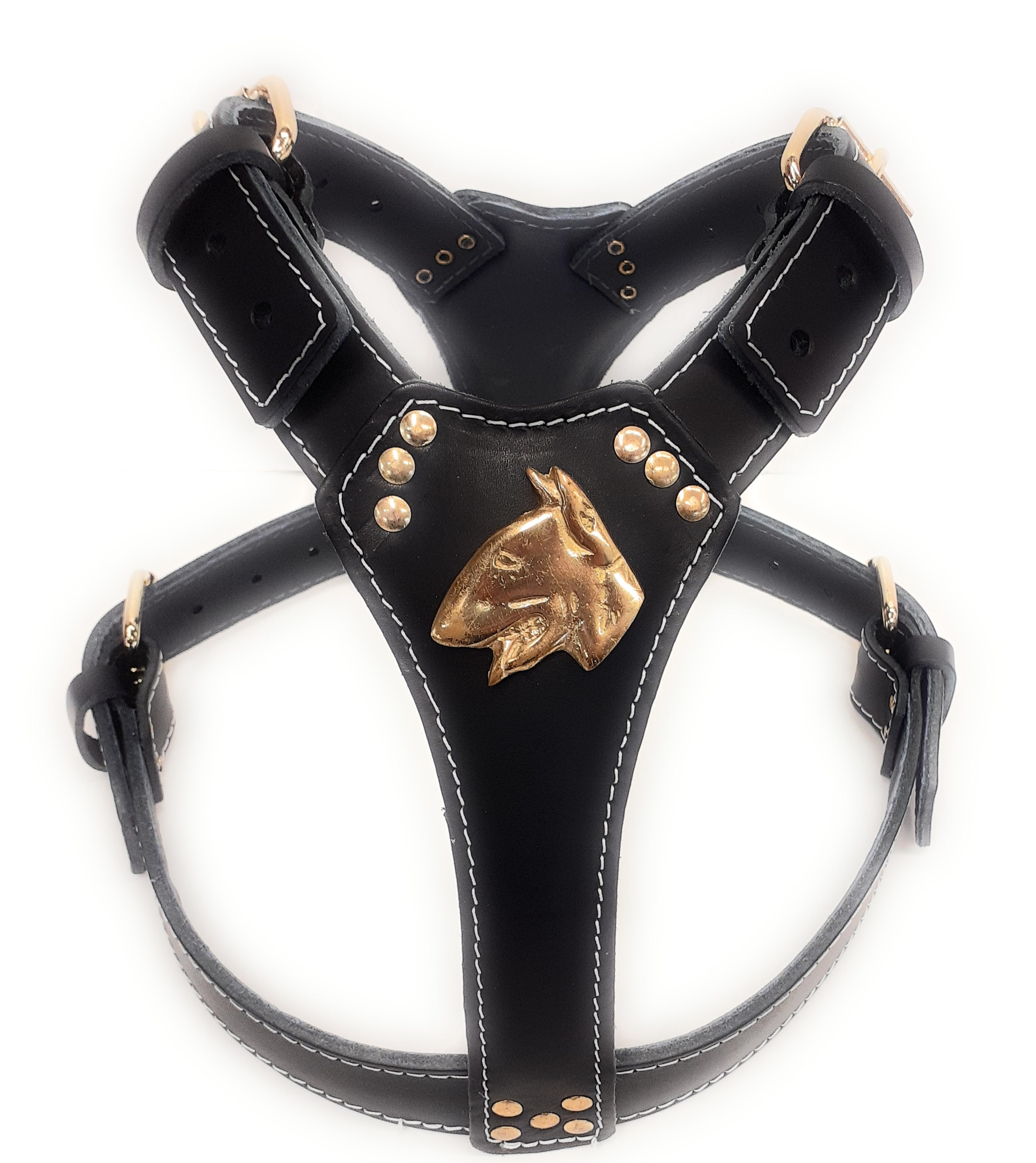 Black Padded Leather Dog Harness with English Bull Terrier | Etsy