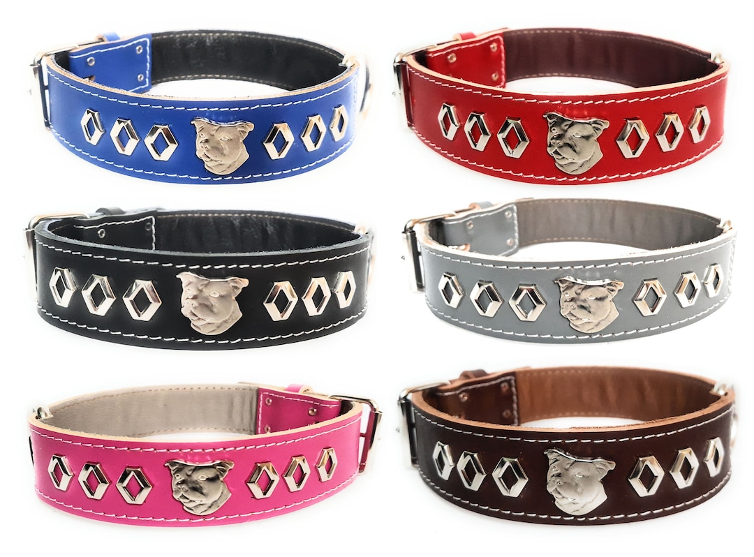 1.5 Inch Wide Staffy Leather Dog Collar With Decorative Design and ...