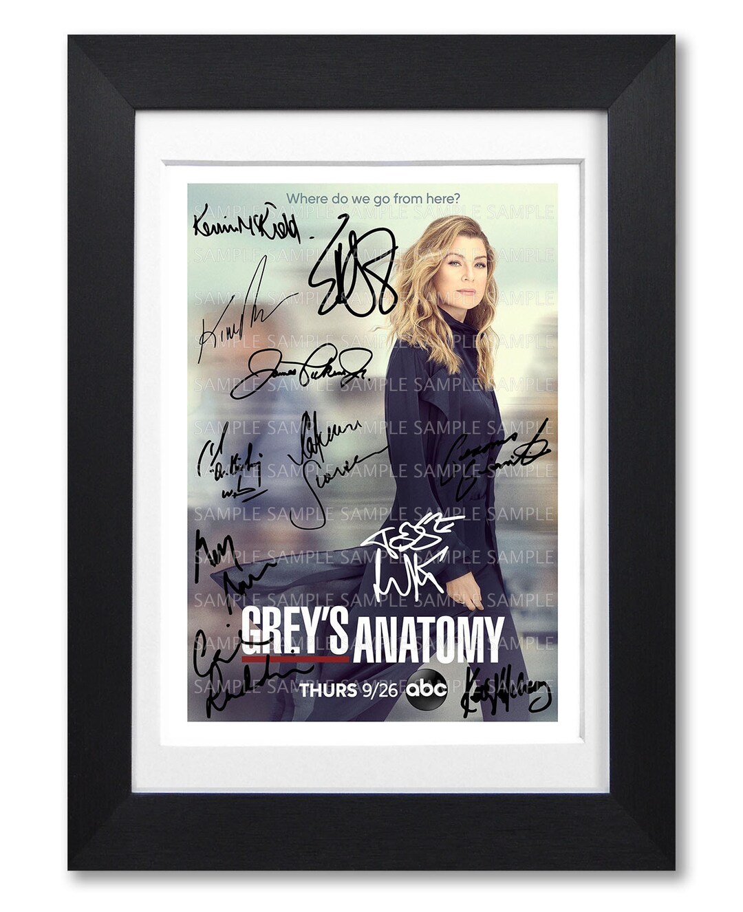 GREY'S ANATOMY Cast Signed Poster Print Photo Autograph Tv Show Season ...