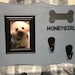 Personalized Frame, Animal Frame, Wooden Animal Frame - Etsy