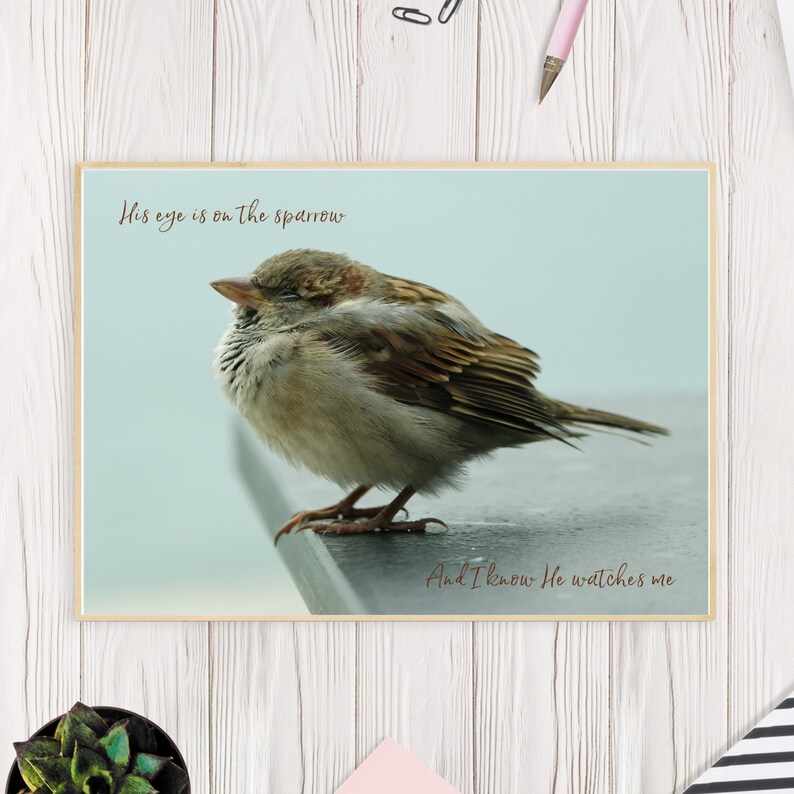 His Eye is on the Sparrow Hymn Lyrics Featuring a Photo of a Chubby Sparrow Sitting on a Ledge ...