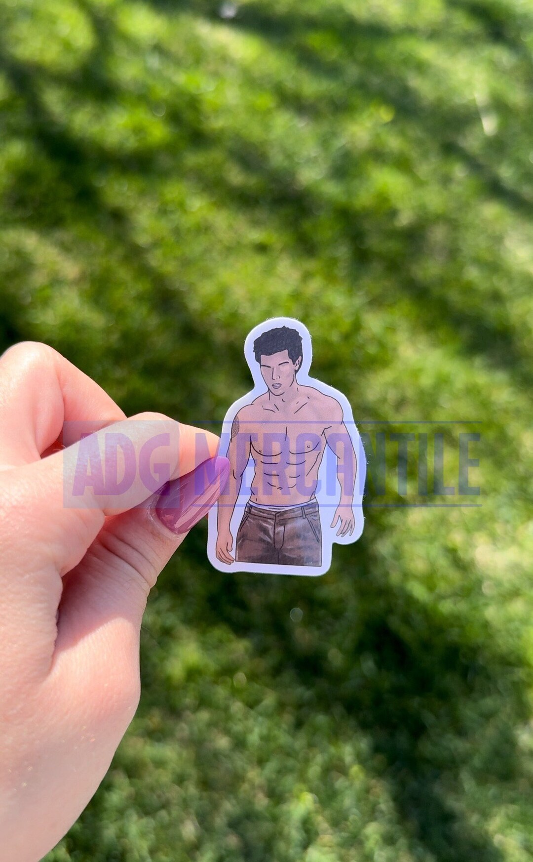 Twilight Jacob Black Sticker - Etsy