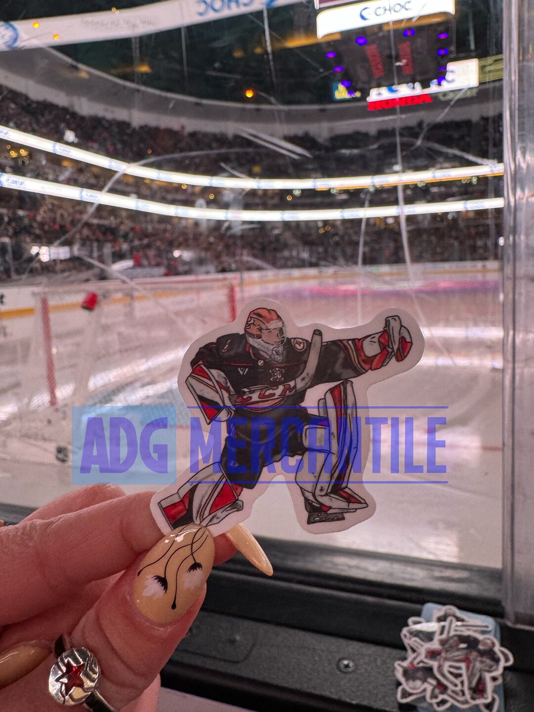 DUK28 Lukáš Dostál Penalty Shot Celebration Anaheim Ducks Sticker - Etsy