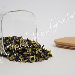 Butterfly Pea Flower | Tea | Powder| Clitoria Ternatea - Etsy