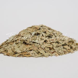 Eucalyptus Leaf Powder or Cuts | Eucalyptus Globulus | Eucalyptus Leaf ...