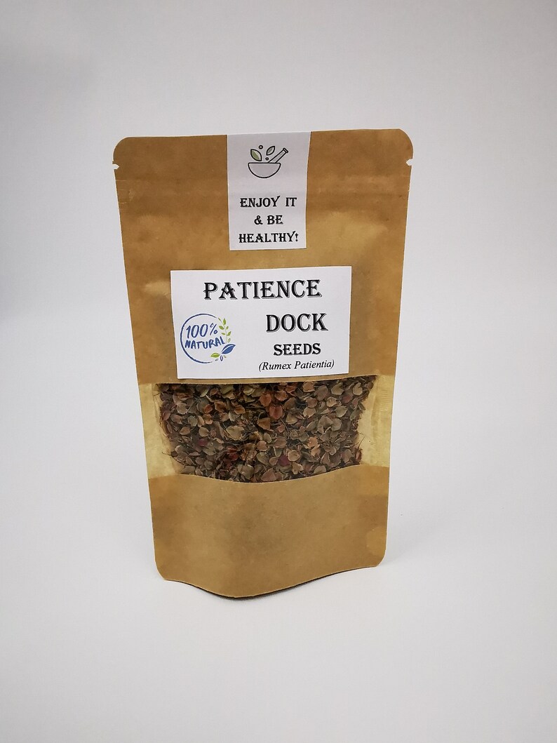 Patience Dock Seed Rumex Patientia - Etsy