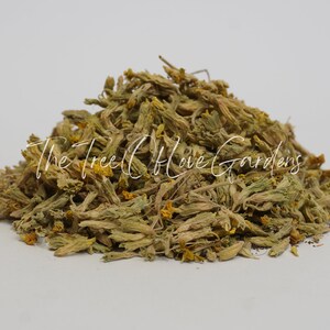 Cowslip Flower | Cowslip | Cowslip Tea | Cowlsip Flower | Primula Veris ...