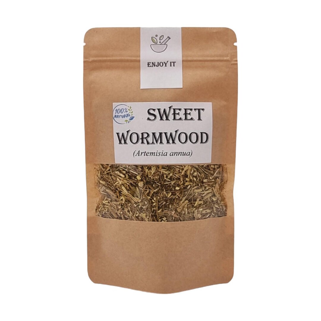 Sweet Wormwood | Artemisia Annua | Sweet Wormwood | Sweet Annie Tea ...