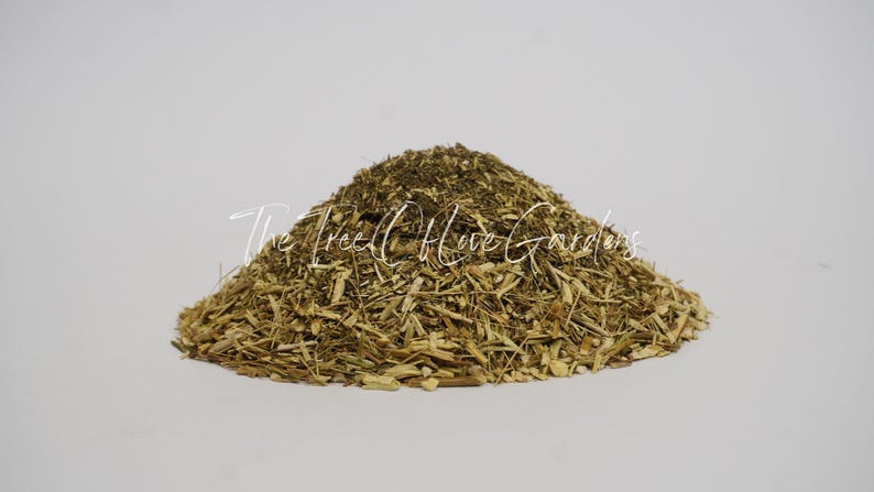 Sweet Wormwood | Artemisia Annua | Sweet Annie Tea | Qinghaosu Herb ...