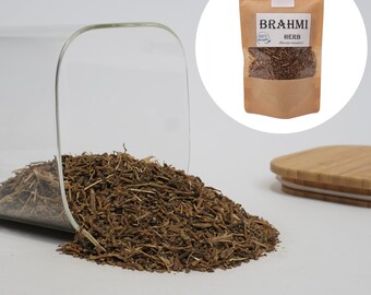 Brahmi Plants bacopa Monnieri, Organic - Etsy