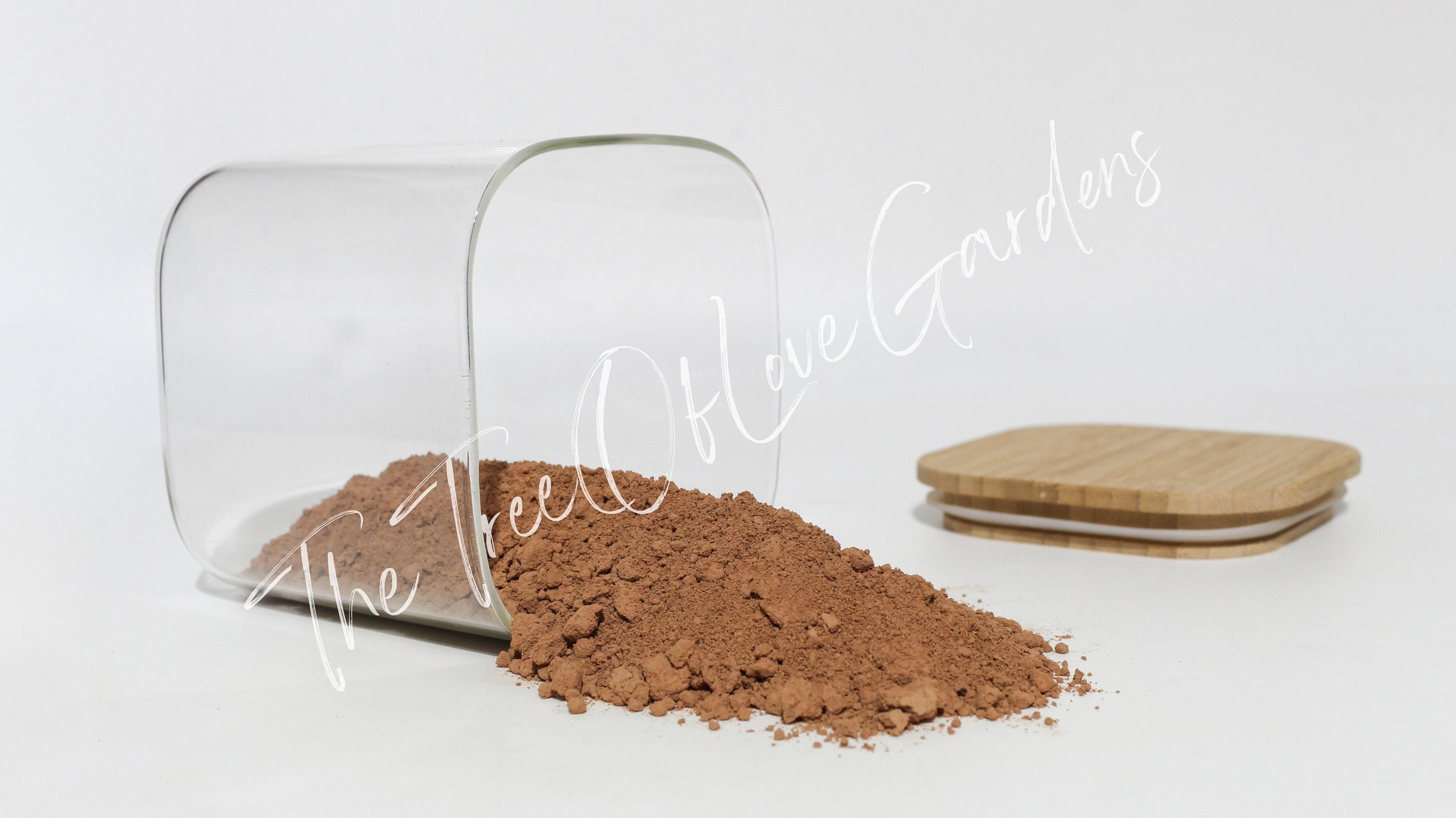 Cacao Beans Powder | Criollo | Organic | Theobroma Cacao | Cocoa Beans ...