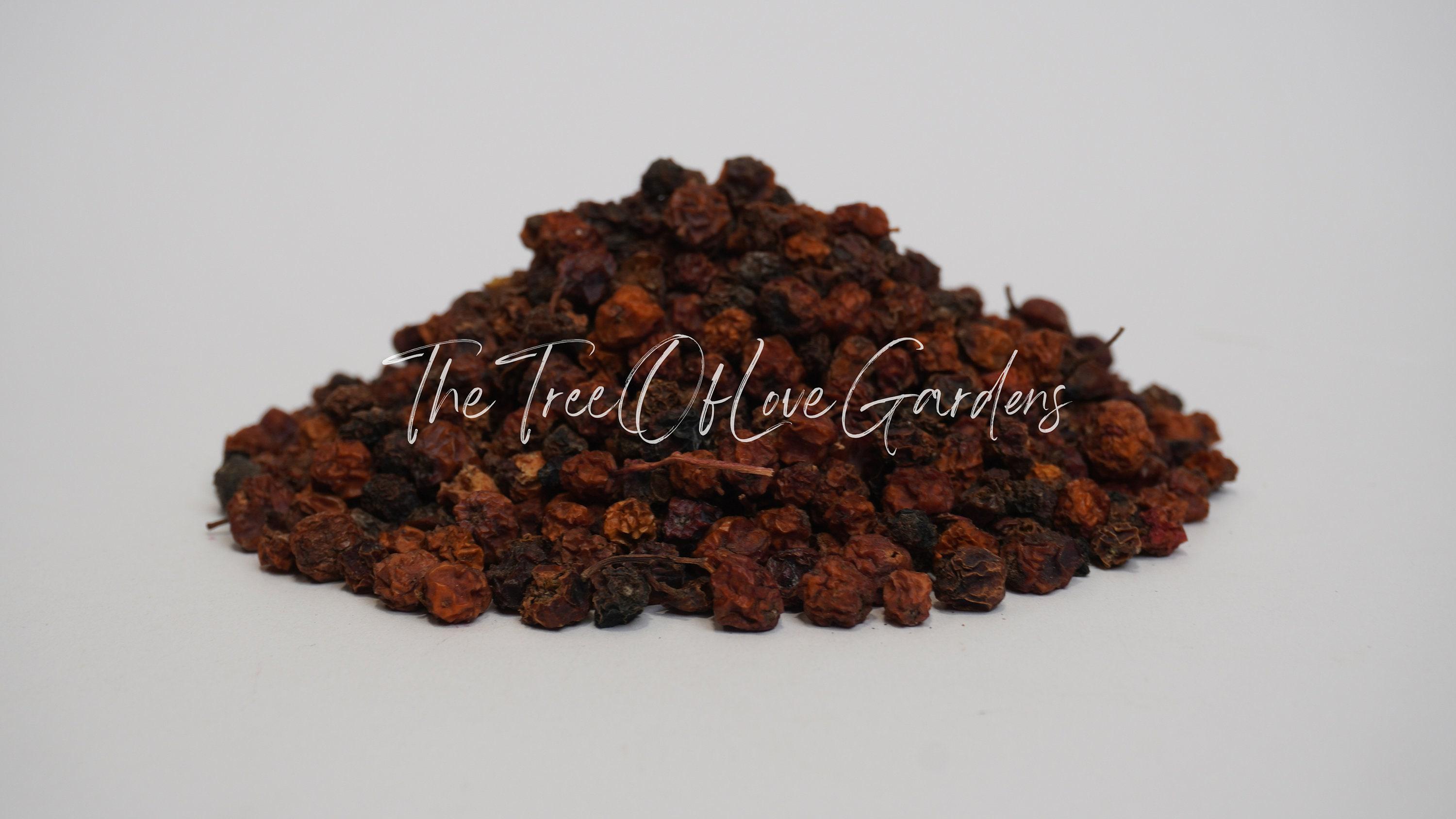 Rowan Berries | Rowan Berries Whole Dried Berries - Sorbus Aucuparia ...