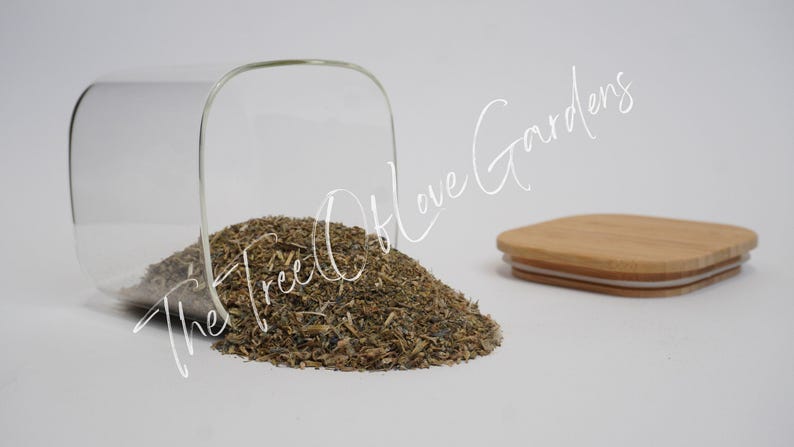 Self Heal Tea | Prunella Vulgaris | Dried Herbs | Herbal Infusion ...