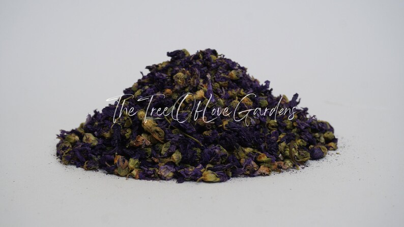 Blue Mallow Flowers | Tea | Malva Sylvestris | Dried Herbs | Herbal Tea ...