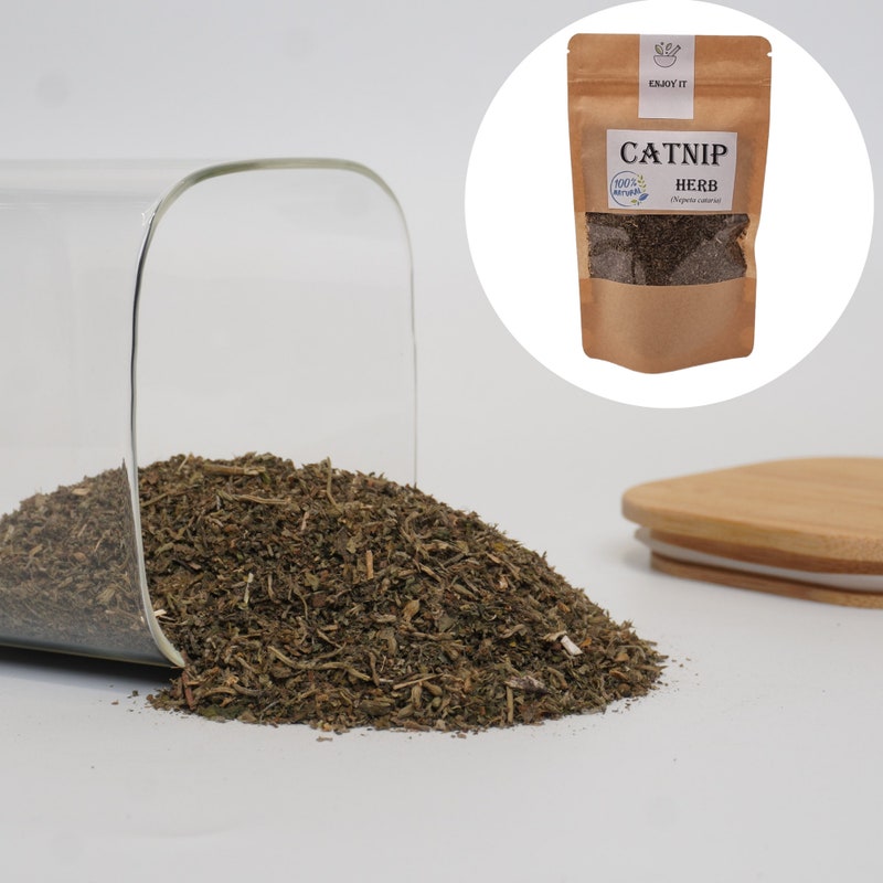 Catnip Tea - Etsy