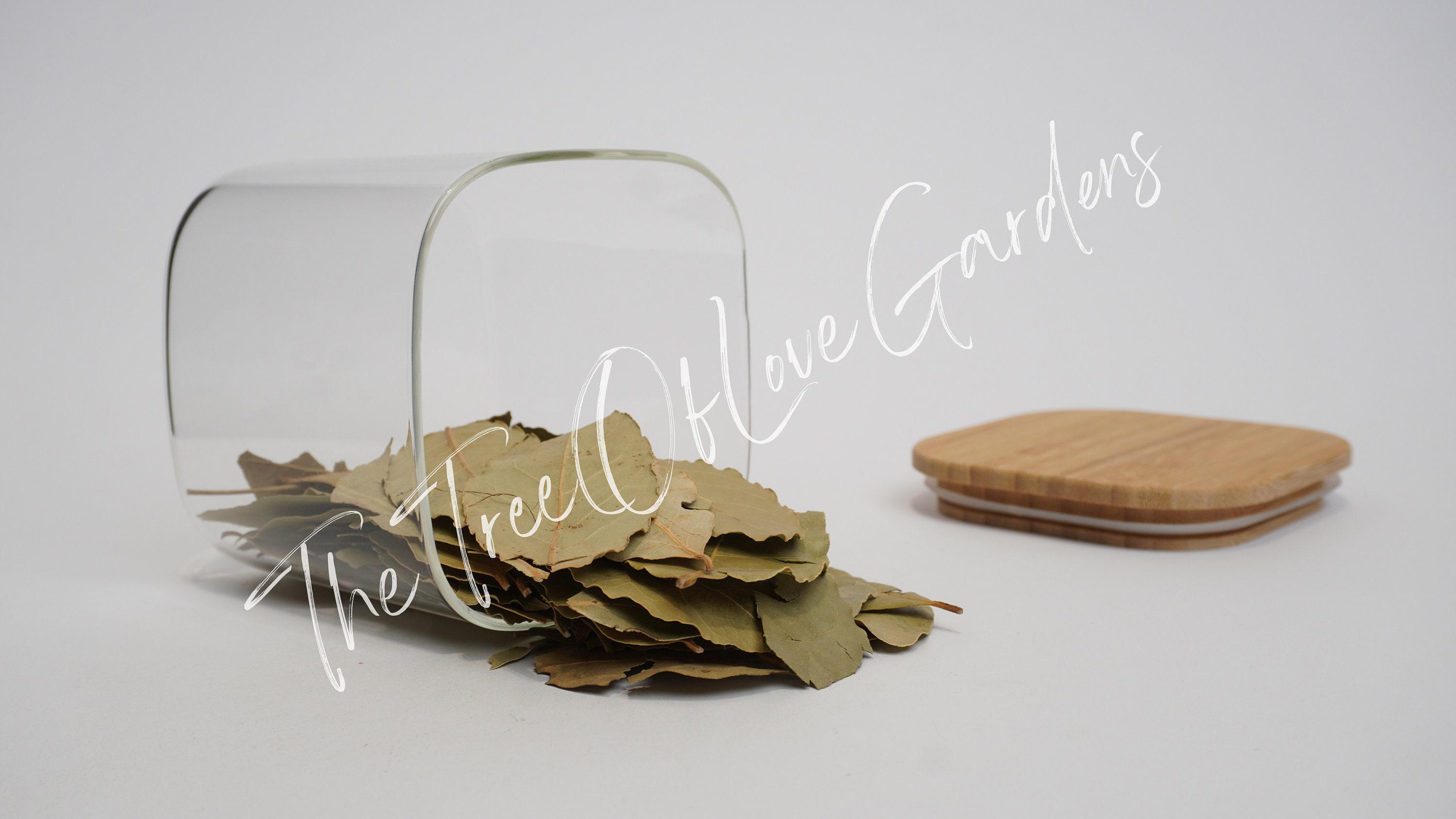 Bay Leaves Whole | Bay Leaf | Bay Spice | Natural | Herbalist | Dried ...