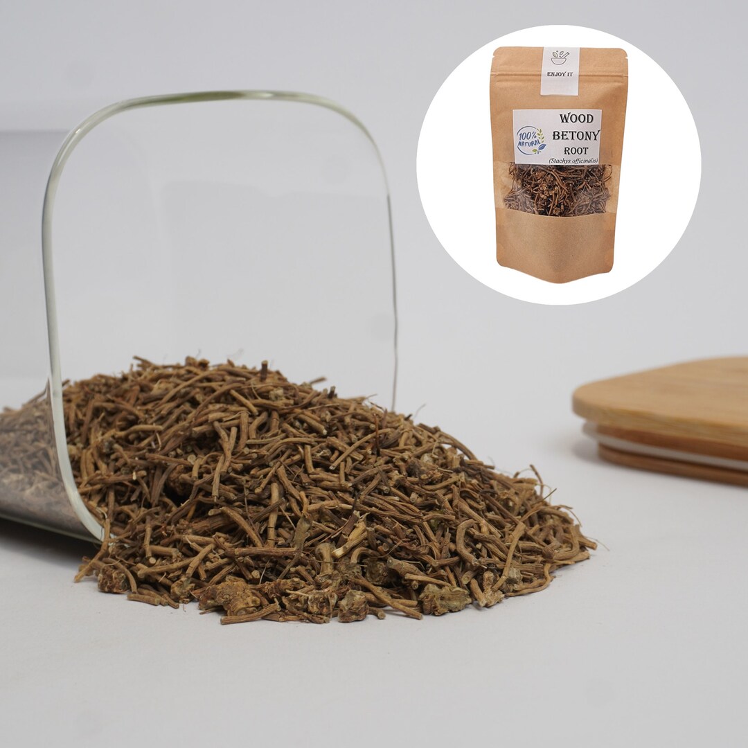 Wood Betony Root Stachys Officinalis Wild-crafted Stachys Betonica ...