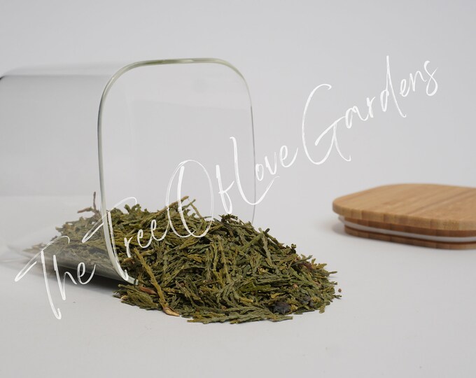 CEDAR LEAF Thuja Leaf Dried Wild Harvested - Etsy