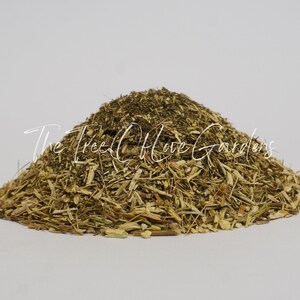 Sweet Wormwood | Artemisia Annua | Sweet Annie Tea | Herb Infusion ...