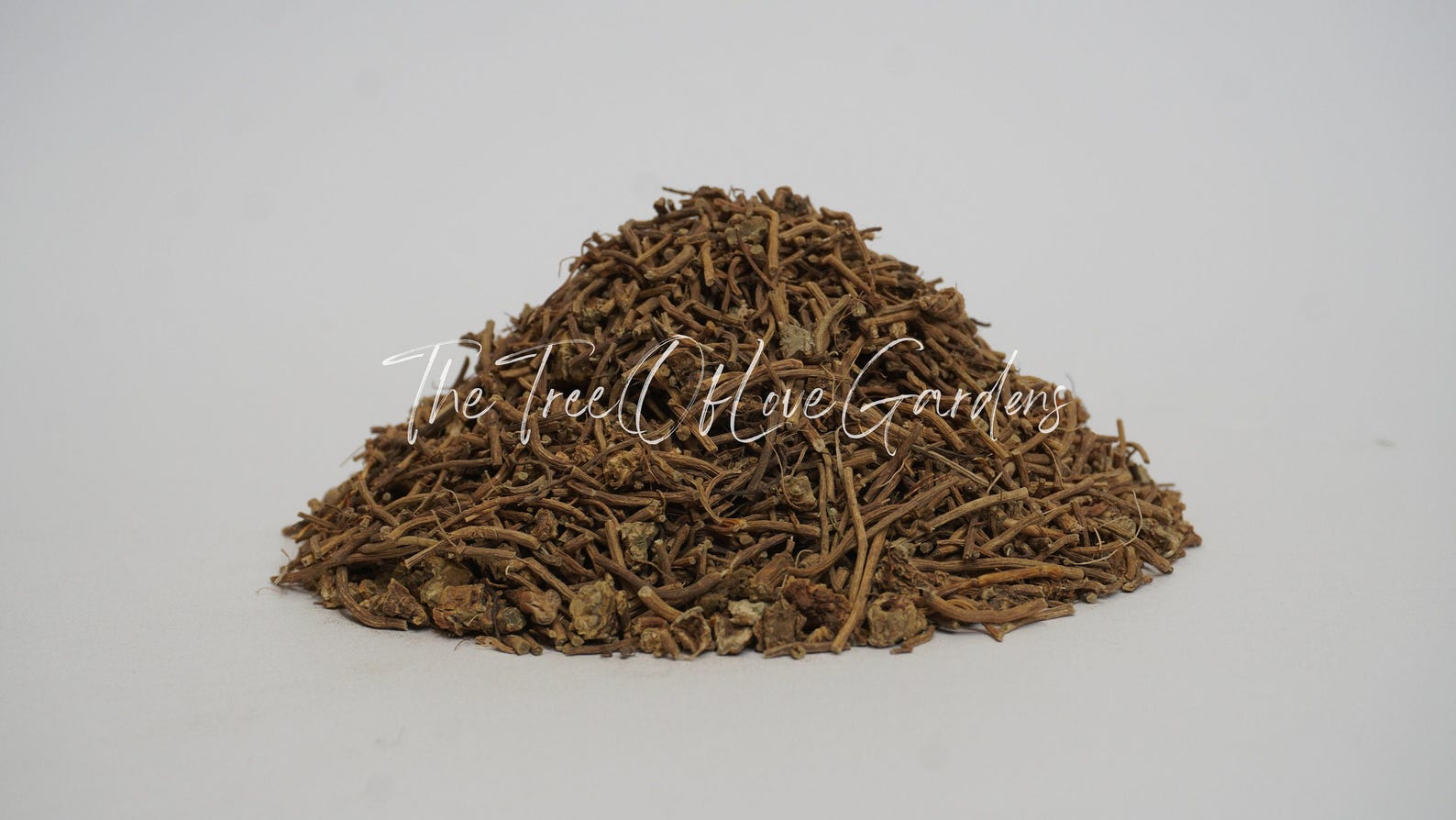 Wood Betony Root | Stachys Officinalis | Wild-crafted | Stachys ...