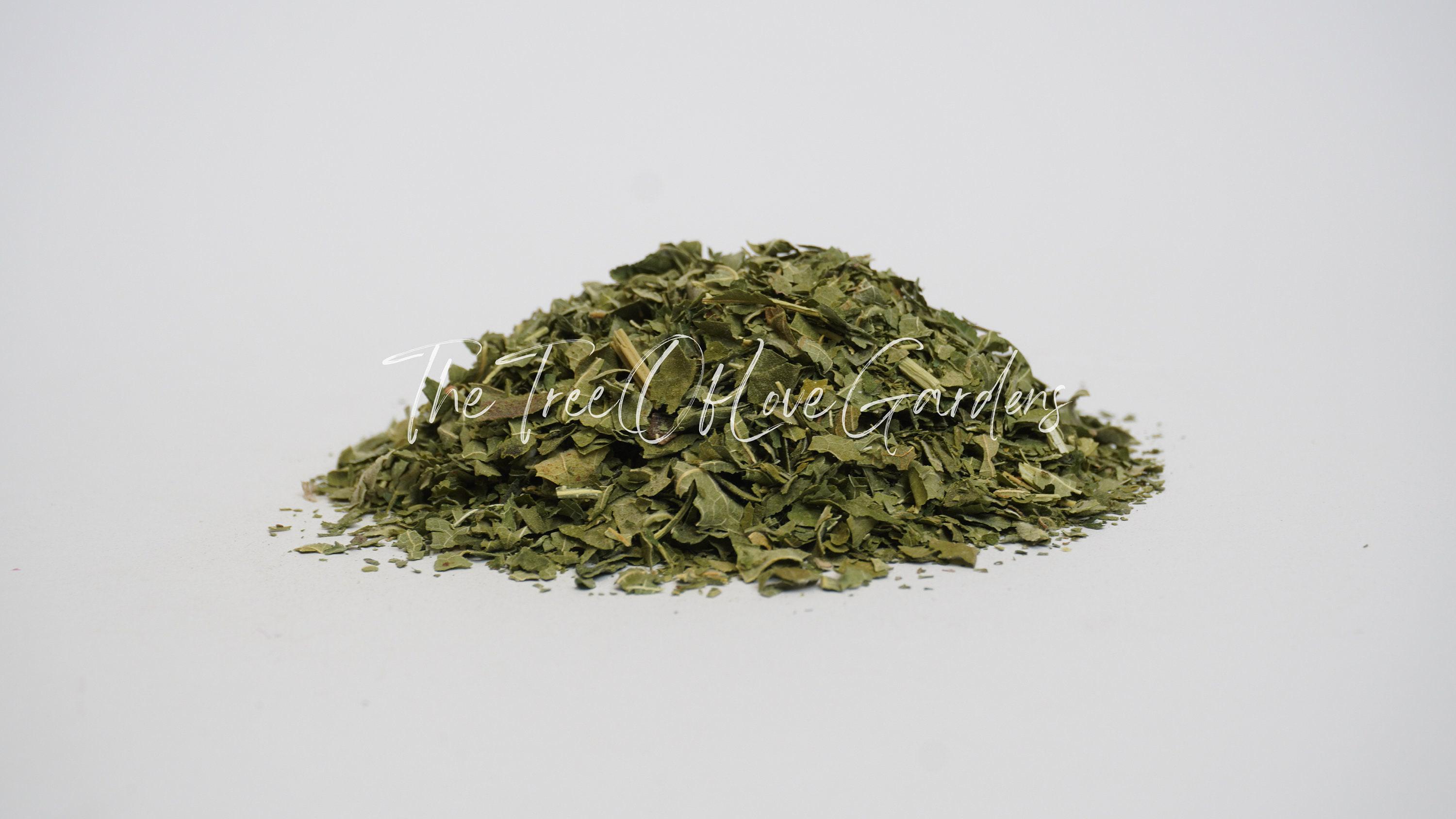 Fig Leaf Tea | Ficus Carica Folia | Dried Herbs | Herbal Infusion by ...