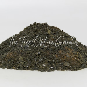 Aloe Cape Resin | Crystals | Aloe Capensis | Aloe Ferox - Etsy