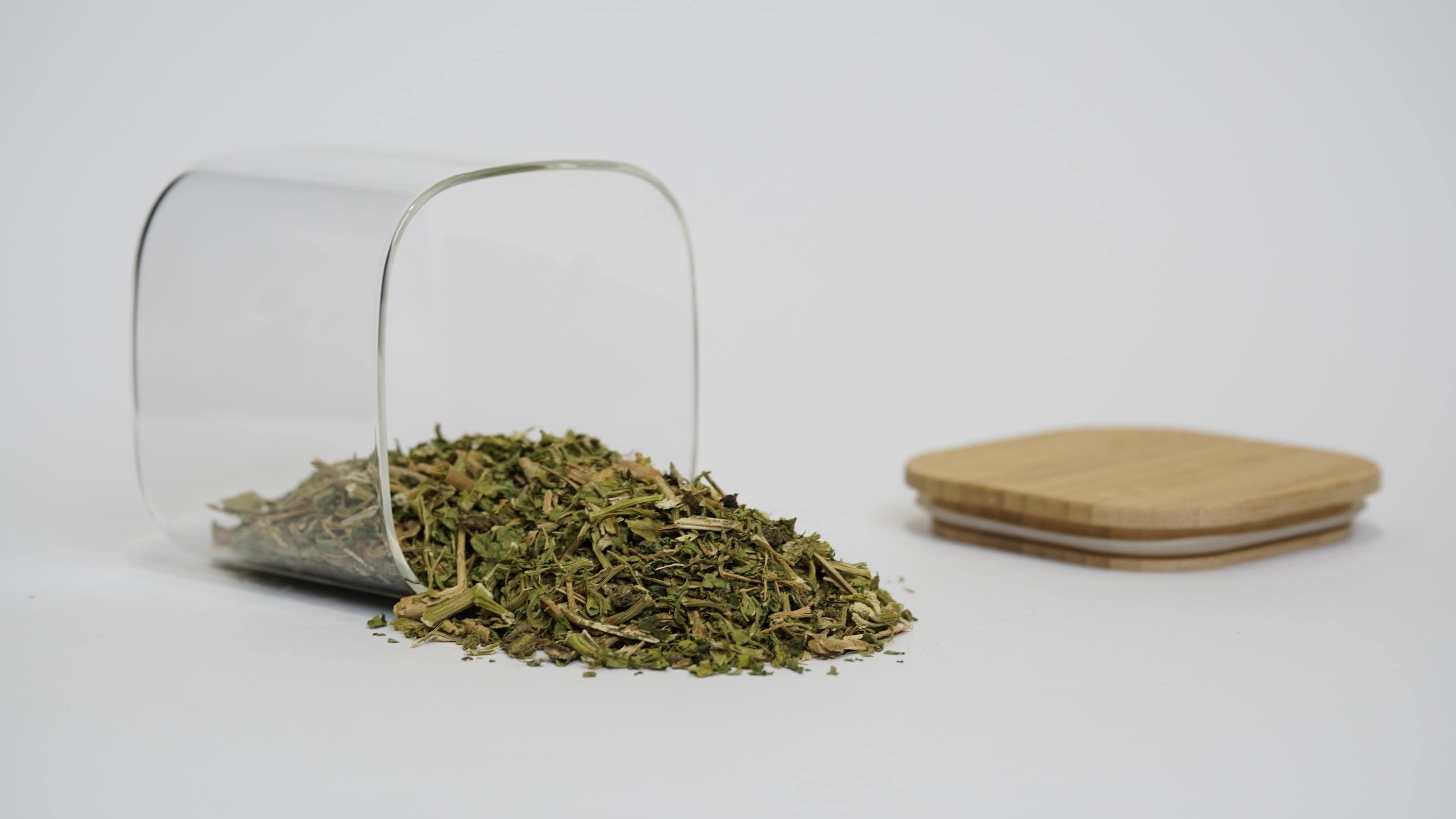 Epazote Herb | Chenopodium Ambrosioides | Mexican Tea | Semi Contra ...