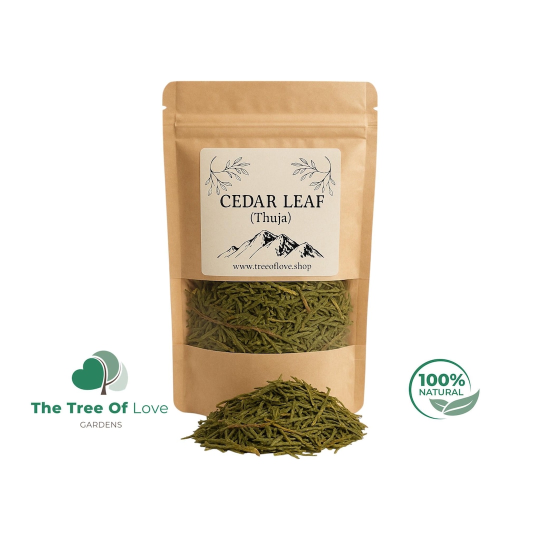 CEDAR LEAF | Thuja Leaf | Dried Herbs | Infusion | Bulk Herb | Herbal ...