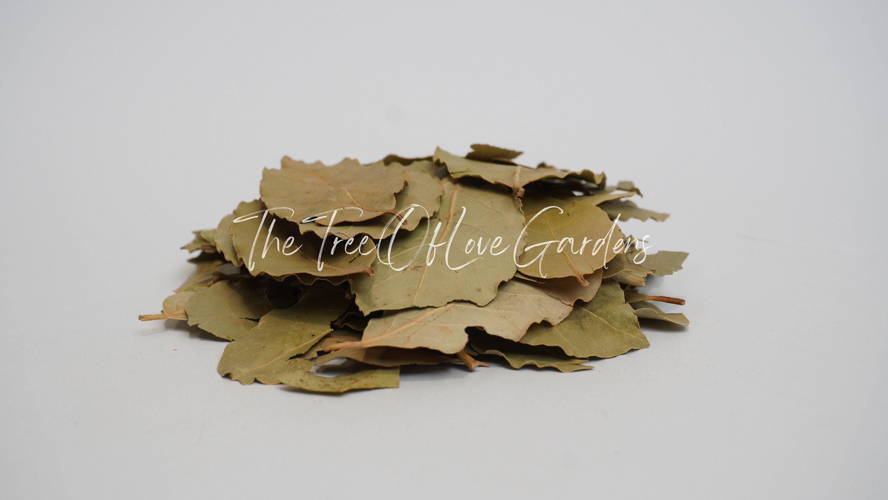 Bay Leaves Whole | Bay Leaf | Bay Spice | Natural | Herbalist | Dried ...