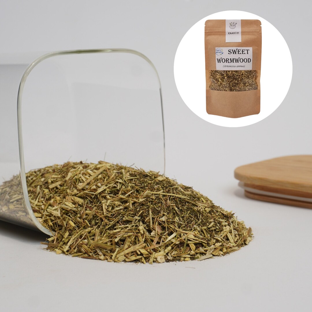 Artemisia Annua Tea | Sweet Wormwood | Sweet Annie Tea | Qinghaosu Herb ...